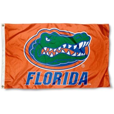 China Custom Outdoor Polyester Banner with Brass Grommets - 3x5 ft Sport Flag, 90%+ Color Penetration for Events & Advertising for sale