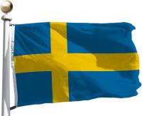 China 3x5ft Sweden Flag Polyester Fabric with Plastic Hooks - Outdoor Durable 90% Color Penetration Custom Sizes for sale