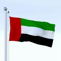 China The United Arab Emirates Flag 90x150cm knitted polyester national flag outdoor canvas header with grommets for sale