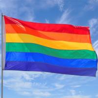 China 3X5 RAINBOW Double Sided FT POLYESTER FLAG GAY PRIDE for sale