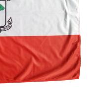 China 3x5' Equatorial Guinea Flag African Country Knitted Polyester Rope and swiss buckle Customized National banner for sale