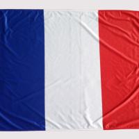 China 3x5' France National Flag Knitted Polyester Rope and loops Customized indoor outdoor for sale