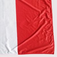 China 3x5' France National Flag Knitted Polyester Rope and loops Customized indoor outdoor for sale