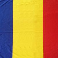 China 3x5' Romania National Flag Knitted Polyester Rope and loops Customized indoor outdoor for sale