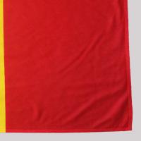 China 3x5' Romania National Flag Knitted Polyester Rope and loops Customized indoor outdoor for sale
