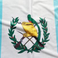 China Guatemala National Flag 3x5' With Double Sided Hemming 100% Polyester for sale