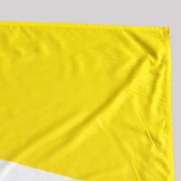 China Nation Brunei Flag 3x5' With Double Sided Hemming 100% Polyester Rope And Swiss Buckle for sale