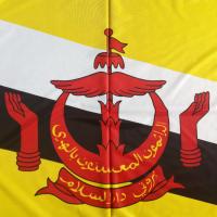 China Nation Brunei Flag 3x5' With Double Sided Hemming 100% Polyester Rope And Swiss Buckle for sale