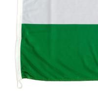 China Customized Indoor Outdoor 3x5' India National Flag Knitted Polyester Rope And Loops for sale