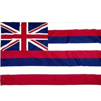 China State of Hawaii Flag 3x5 ft Outdoor Dupont Heavy duty Nylon US Flags Brass Grommets for sale