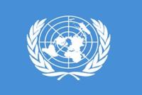 China United Nations Flag 2x3 ft with Brass Grommets - Double-Stitched Polyester for Indoor/Outdoor Use for sale