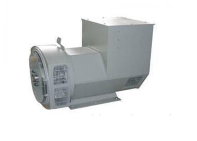 China Synchronous Excitation 3 Phase Alternator 91 kW 114 kVA for Perkins Generator for sale