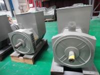 China WERNA W274F Double Bearing Single Phase Alternator 125kW 1500RPM 110-240V Diesel Generator for sale