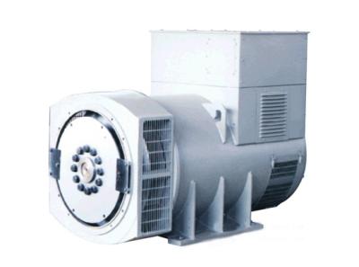 China WERNA 30kW Brushless Synchronous Generator 110V 50Hz 60Hz AVR SX460 Portable Alternator for sale