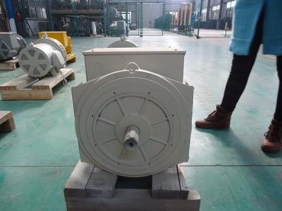 China WERNA WR224E Synchronous Brushless Alternator 40kW 50kVA 110V-690V Three Phase Generator for sale