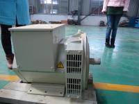 China WERNA Self-excited Double Bearing Alternator 200kW 250kVA Brushless Generator with H Class Insulation for sale