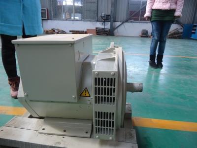 China WERNA Self-excited Double Bearing Alternator 200kW 250kVA Brushless Generator with H Class Insulation for sale