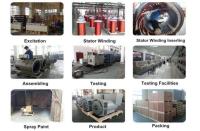 China Double Bearing Alternator 42.5-100kVA 50Hz Stamford Type Mounting AVR SX460 AS440 for Industrial Power Generation for sale