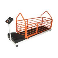China Treadmill Dog Dog Treadmill For Sale Dog Treadmill Pet for sale