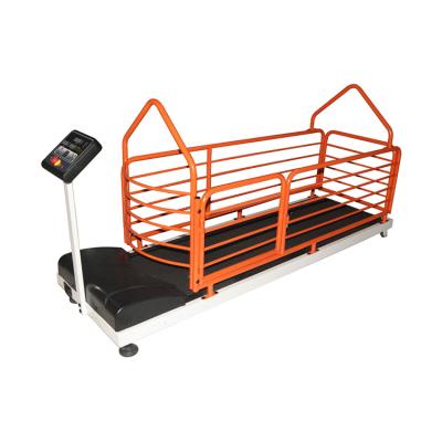 China Treadmill Dog Dog Treadmill For Sale Dog Treadmill Pet for sale