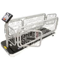 China Dog Treadmill Walking Machine Pet Treadmill For Dogs Cat Treadmill for sale