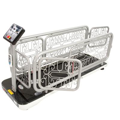 China Dog Treadmill Walking Machine Pet Treadmill For Dogs Cat Treadmill for sale