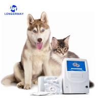 China Veterinary Biochemistry Analyz Dry Chemistry Analyzer Biochemistry Human Biochemistry Analyzer for sale