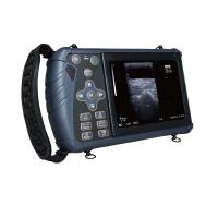 China Veterinary B/W Ultrasound System 5.6 inch LED mdeidcal display Handheld Digital Veterinary Ultrasound for sale