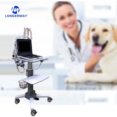 China Medcial Equipemt Laptop Portable Color Ultrasound Machines Refurbis Qsono Q6 Color Doppler Portable Ultrasound for sale