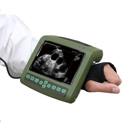 China Ultrasound For Animal Ultrasound Physiotherapy Machine for sale