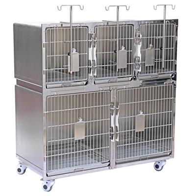 China Clinic Veterinary Medical Devices Five Parts modular Of Dog Cat for sale