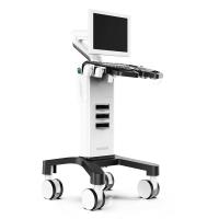 China Main screen 15'medical HD monitor All-in-one keypad Ultrasound  machine with trolley for sale