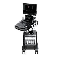 China High quality 4D portable color doppler ultrasound system machine with cradiac probe for sale