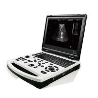 China B&W Veterinary Portable Ultrasound Scanner Wireless Ultrasound Scanner for sale