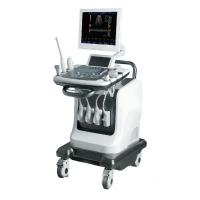 China Multi language Color Flow Doppler Ultrasound Handheld Doppler Machine for sale