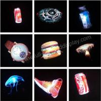 China 3D Holographic Outdoor Digital Advertising Screens 42cm Fan Spanning LED Display With SD Card for sale