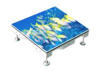 China Outdoor Floor LED Stage Floor Display Anti Scratch Mask Interactive Glass Bridge Applied for sale