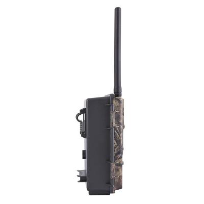 China 1080P Wildlife Camera with 30m Detection Range & 12 Month Battery Life - 33 IR LED Night Vision Security System for sale