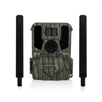 China Keepguard 4G Cellular Wildlife Trail Camera with APP Remote Control 36MP 2K/30fps Water Resistant Outdoor Monitoring for sale
