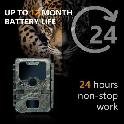 China 32MP 4K Infrared Hunting Camera IP66 Waterproof PIR Wildlife Monitoring 100ft Night Vision for sale