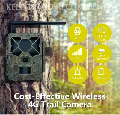 China 4G Cellular Trail Camera 24MP 1080P 30fps IP66 Waterproof Night Vision Wildlife Game Camera with APP Control for sale