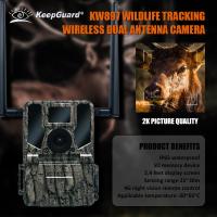 China 4G LTE Cellular Trail Camera 36MP 2K Night Vision Dual Antenna IP66 Camouflage for Wildlife Scouting for sale