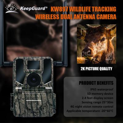 China 4G LTE Cellular Trail Camera 36MP 2K Night Vision Dual Antenna IP66 Camouflage for Wildlife Scouting for sale