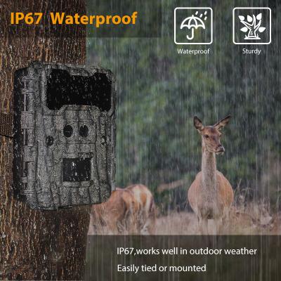 China Keepguard KW696 Dual-Lens 30MP No-Glow Trail Camera 1080P Night Vision 512G IP66 for sale