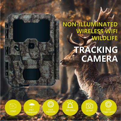 China KW865 WiFi Trail Camera 24MP 0.6s Trigger IP67 Waterproof 940nm No Glow Night Vision up to 512GB for sale