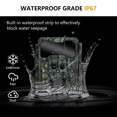 China Keepguard KW696 Dual-Lens 30MP No-Glow Trail Camera 1080P Night Vision IP66 Waterproof 512GB for sale