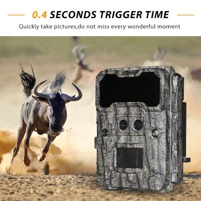 China Keepguard KW696 Dual-Lens 30MP No-Glow Trail Camera IP66 1080P Night Vision 512GB for sale