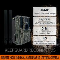 China 4G LTE Trail Camera 36MP 2K Night Vision 0.1s Trigger Speed Dual Antennas for Wildlife Research for sale