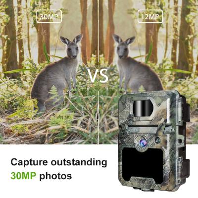 China Customizable HD Hunting Cameras for Wildlife Scouting with 512GB Memory Card Support for sale