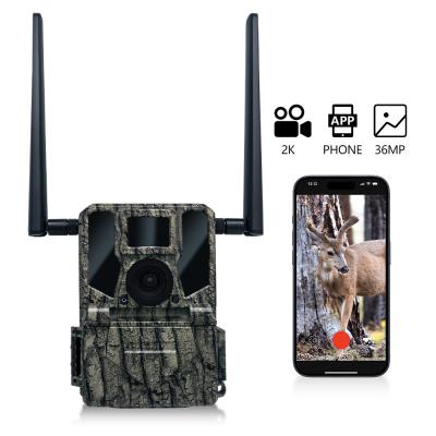 China 4G LTE Cellular Hunting Camera 36MP 2K Video 30fps Built-in SIM Card Dual Antennas Wildlife Trail Cam for sale